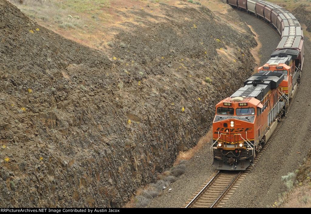 BNSF 6619